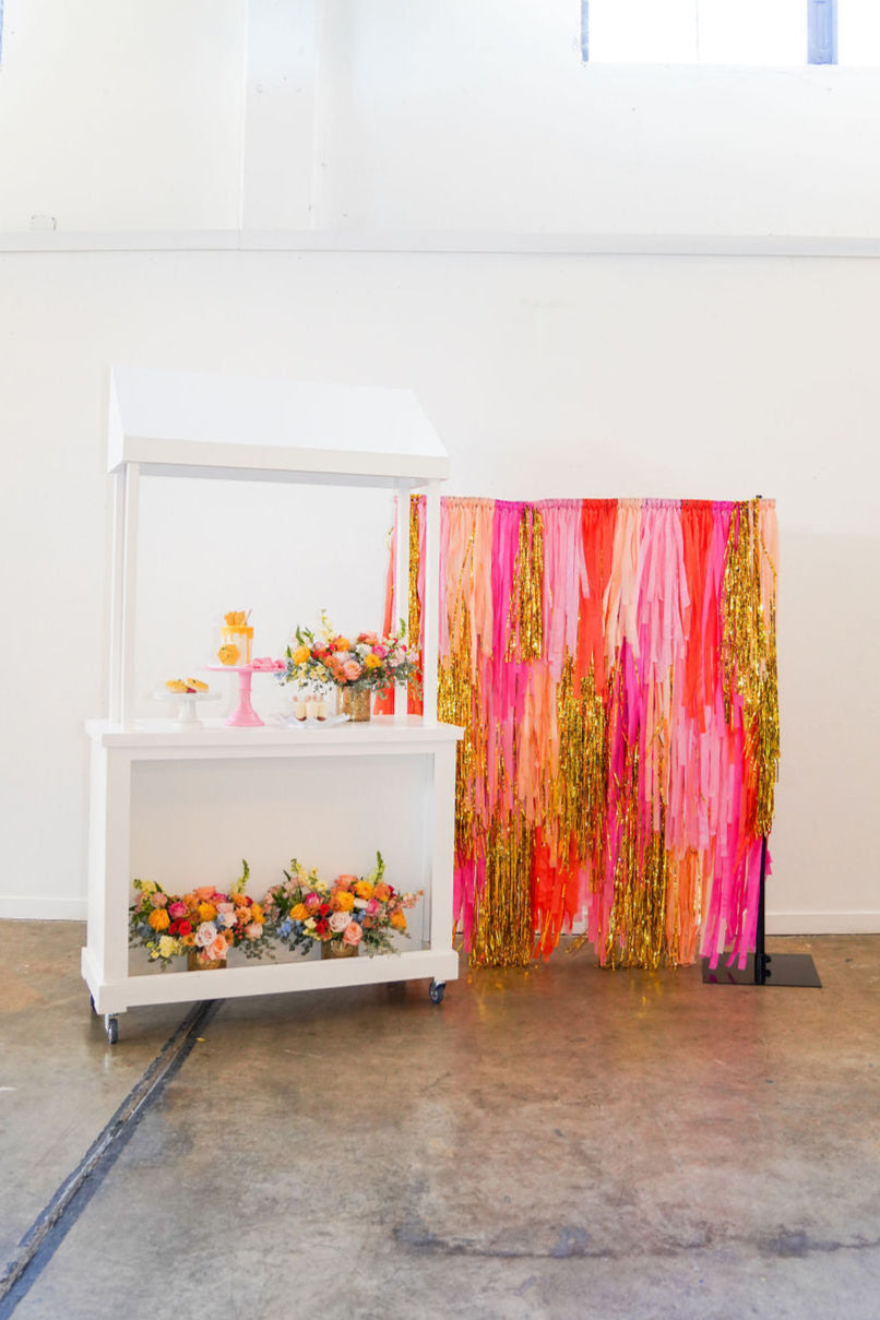 Sunset Soiree Fringe Backdrop exclusive at Oh My Darling Party Co