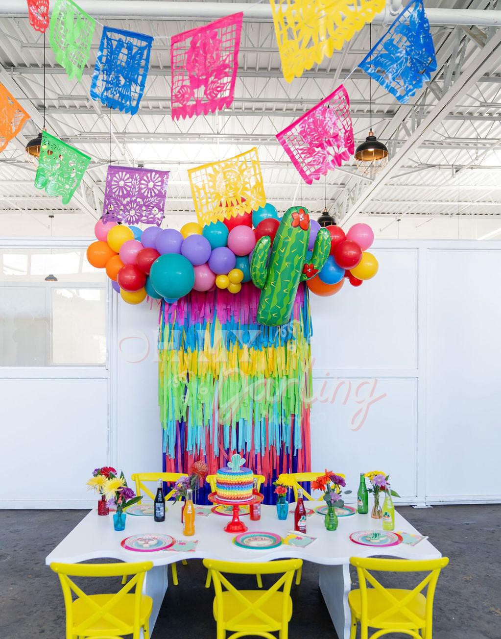 Fiesta Ole Fringe Backdrop Oh My Darling Party Co