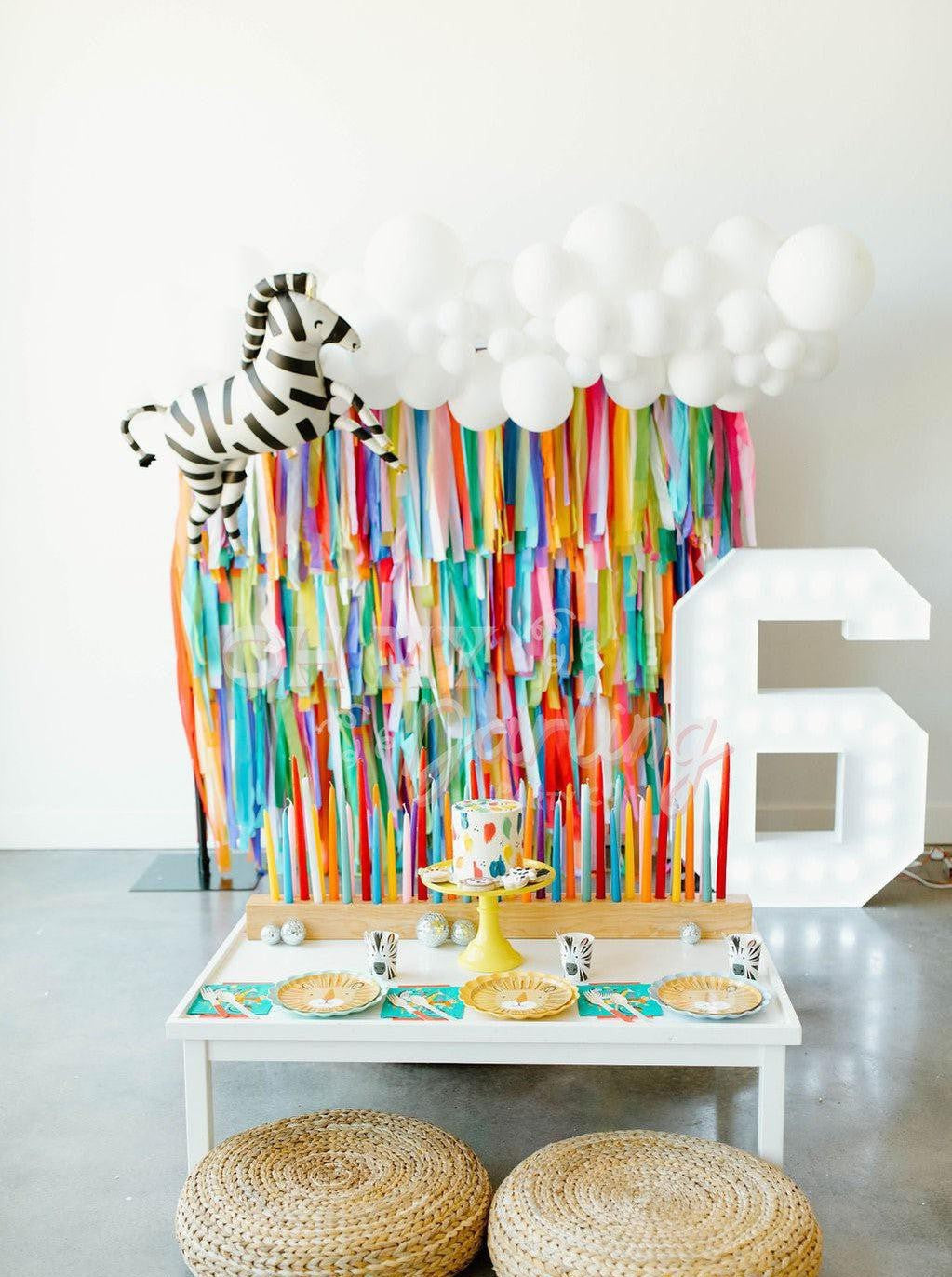 BACKDROPS – Oh My Darling Party Co