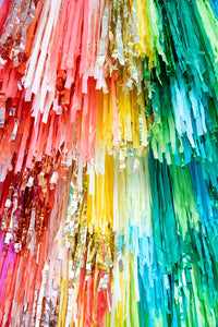 Color Spectrum Fringe Backdrop exclusive at Oh My Darling Party Co