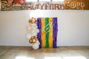 Mardi Gras Madness Fringe Backdrop exclusive at Oh My Darling Party Co
